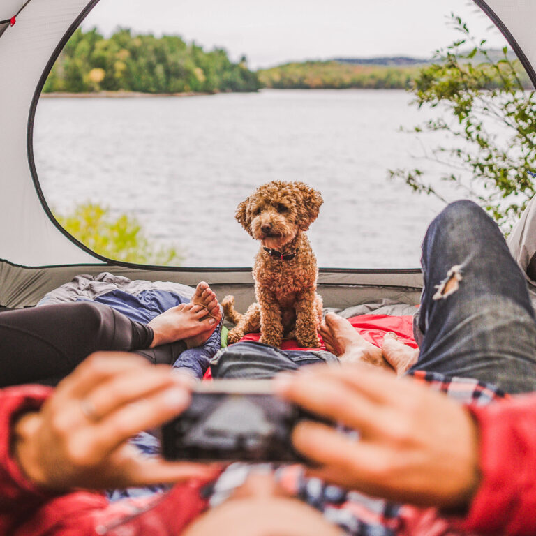 Parc régional du Poisson Blanc
