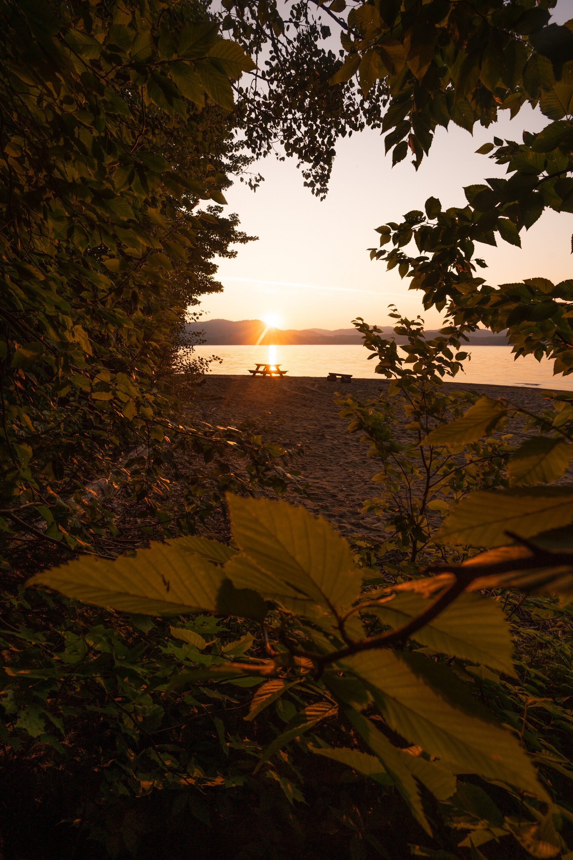 Cartes du parc – Parc régional du Poisson Blanc